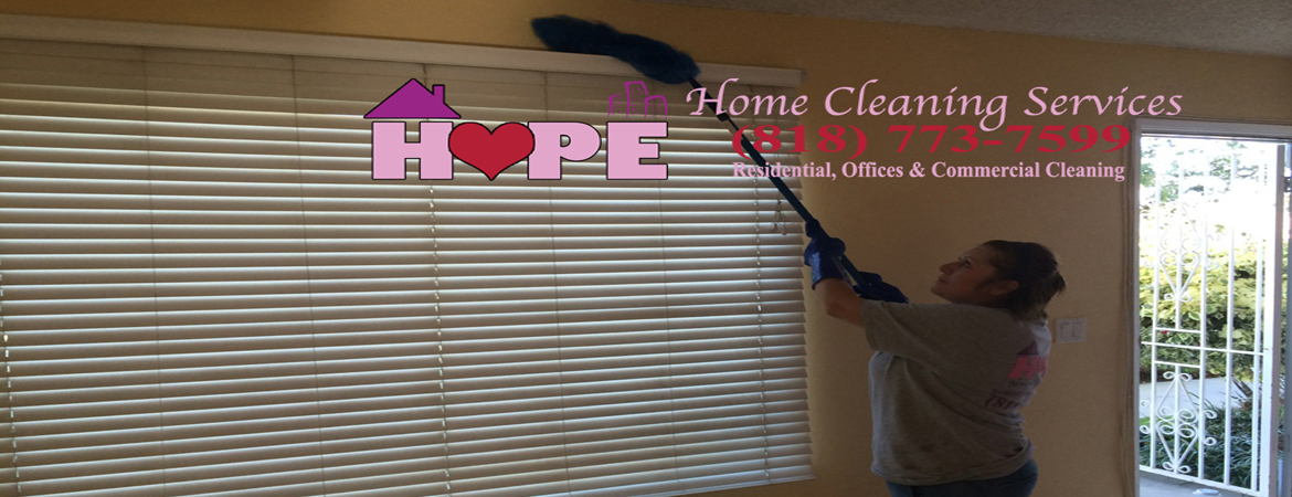 Mega Carpet Cleaning Service